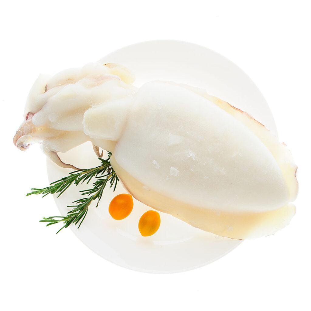 Seppia - Surgelandia